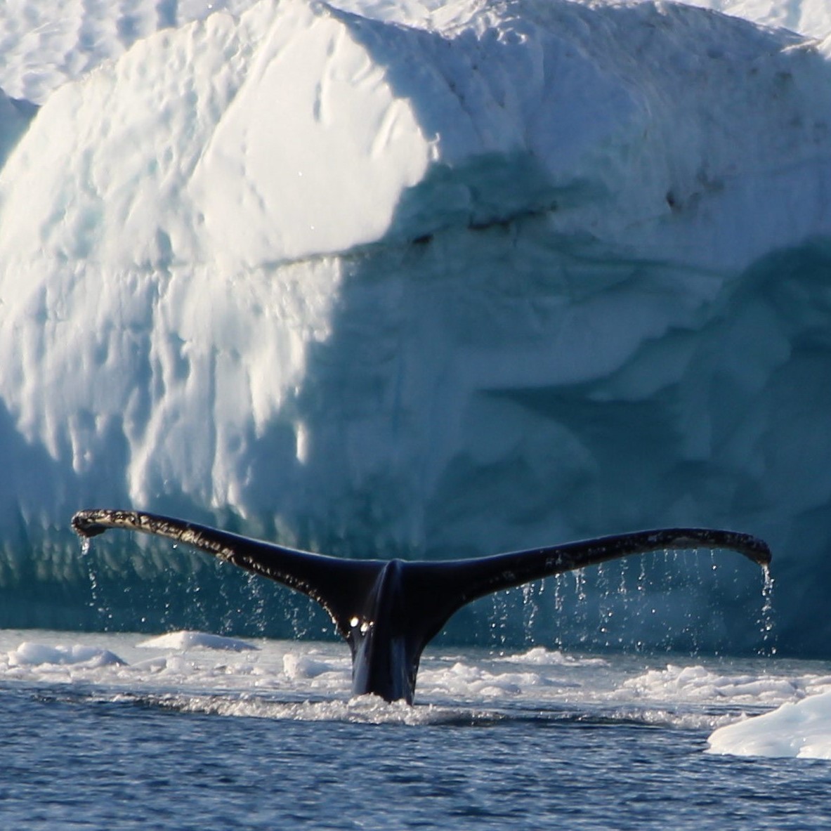 Into the Northwest Passage: four billion years of Earth history – earth ...