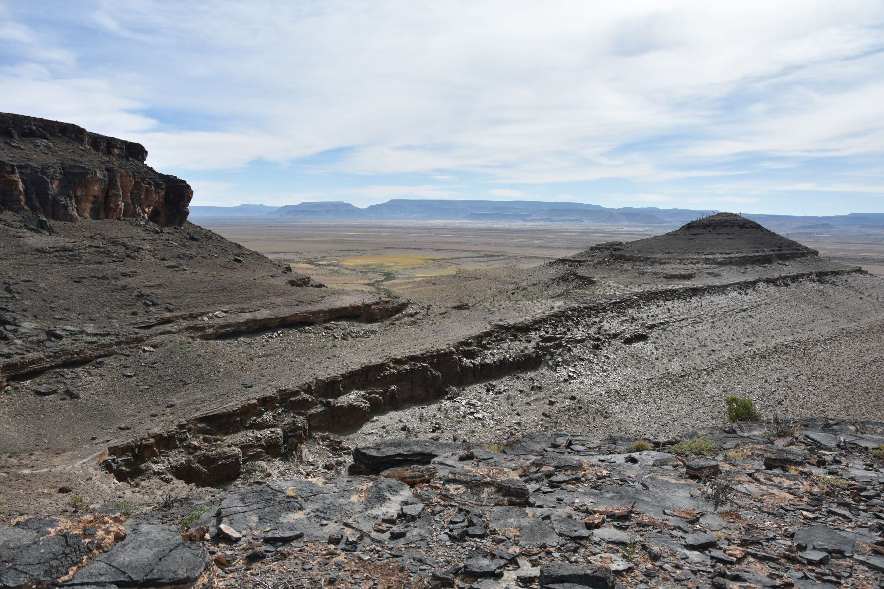 Exploring the environments inhabited by Earth’s earliest animals in ...